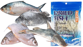 Fish – Bazaar And Bite